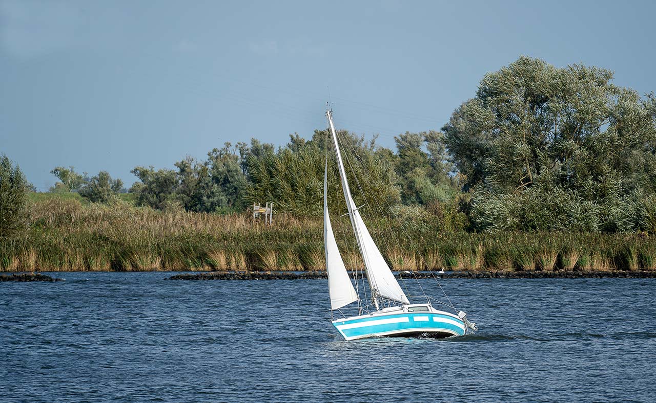 Master the Seas: What Is Jibing in Sailing and How to Perfect It ...